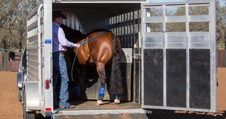 How to Load a Horse Into a Trailer | Downunder Horsemanship